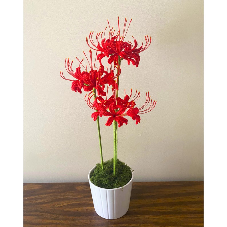 Spider Lily Crochet Kit: DIY Yarn Flower Craft (6pcs) - Etsy