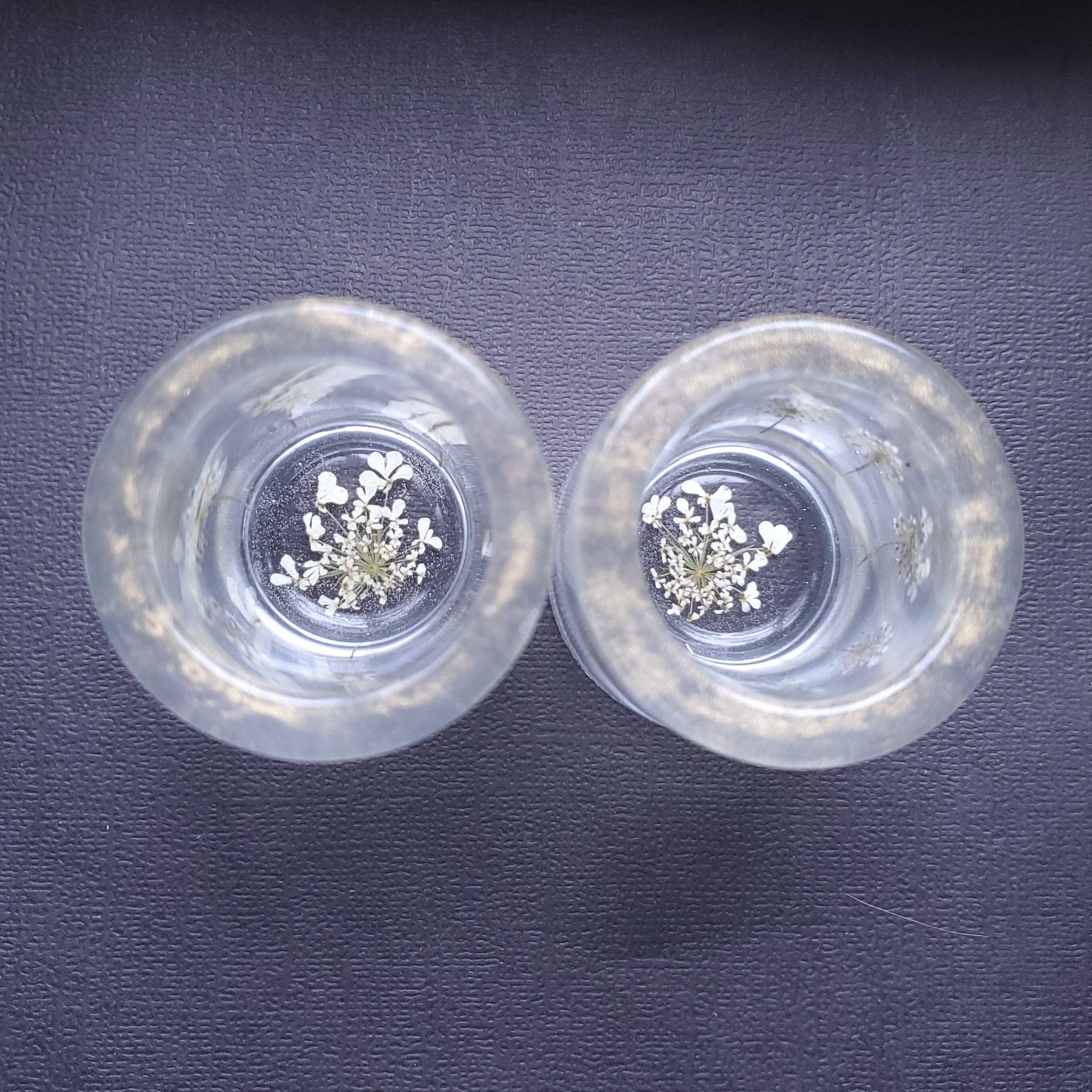 Botanical Resin Shot Glass Set Containing Queen Ann's Lace - Etsy