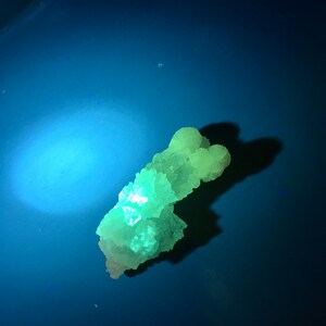 Super RARE Blue Zincite Botryoidal, Potent Energy, Fluoresces - Etsy