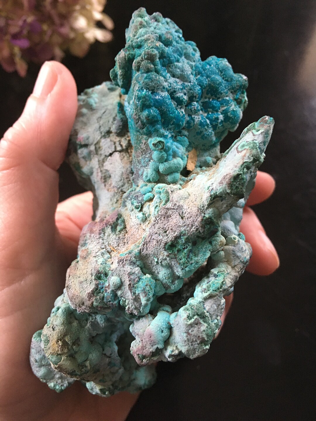 Rough, Botryoidal Chrysocolla With Malachite Interesting Specimen - Etsy