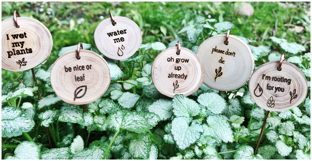 Plant Pun Garden Markers: Wood Burned Plant Signs, Set of 6 - Etsy