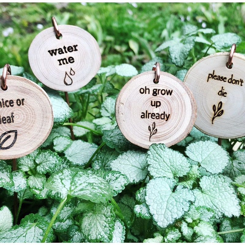 Plant Signs Funny - Etsy