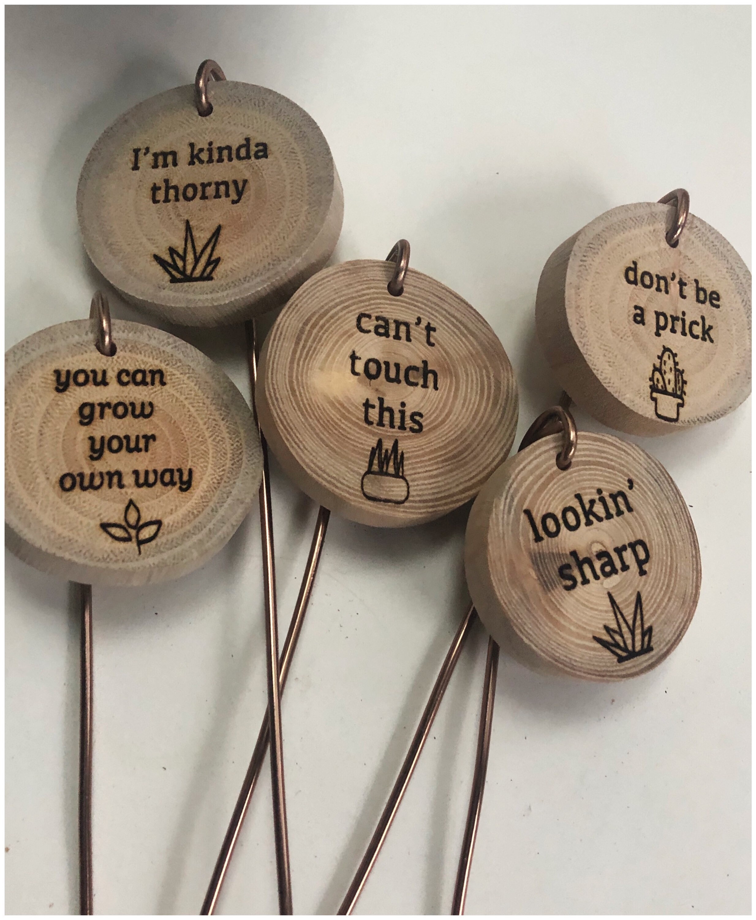 Funny Plant Pun Garden Markers: Handmade Wood Plant Stakes, Set of 5 - Etsy