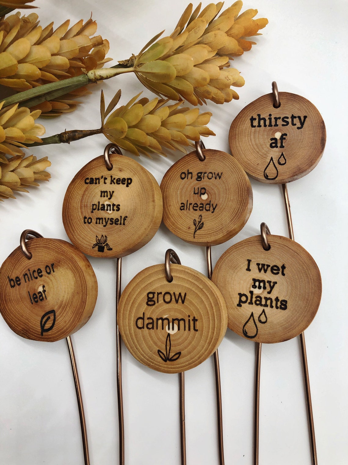 Plant Pun Garden Markers Plant Puns Wooden Yard Art - Etsy