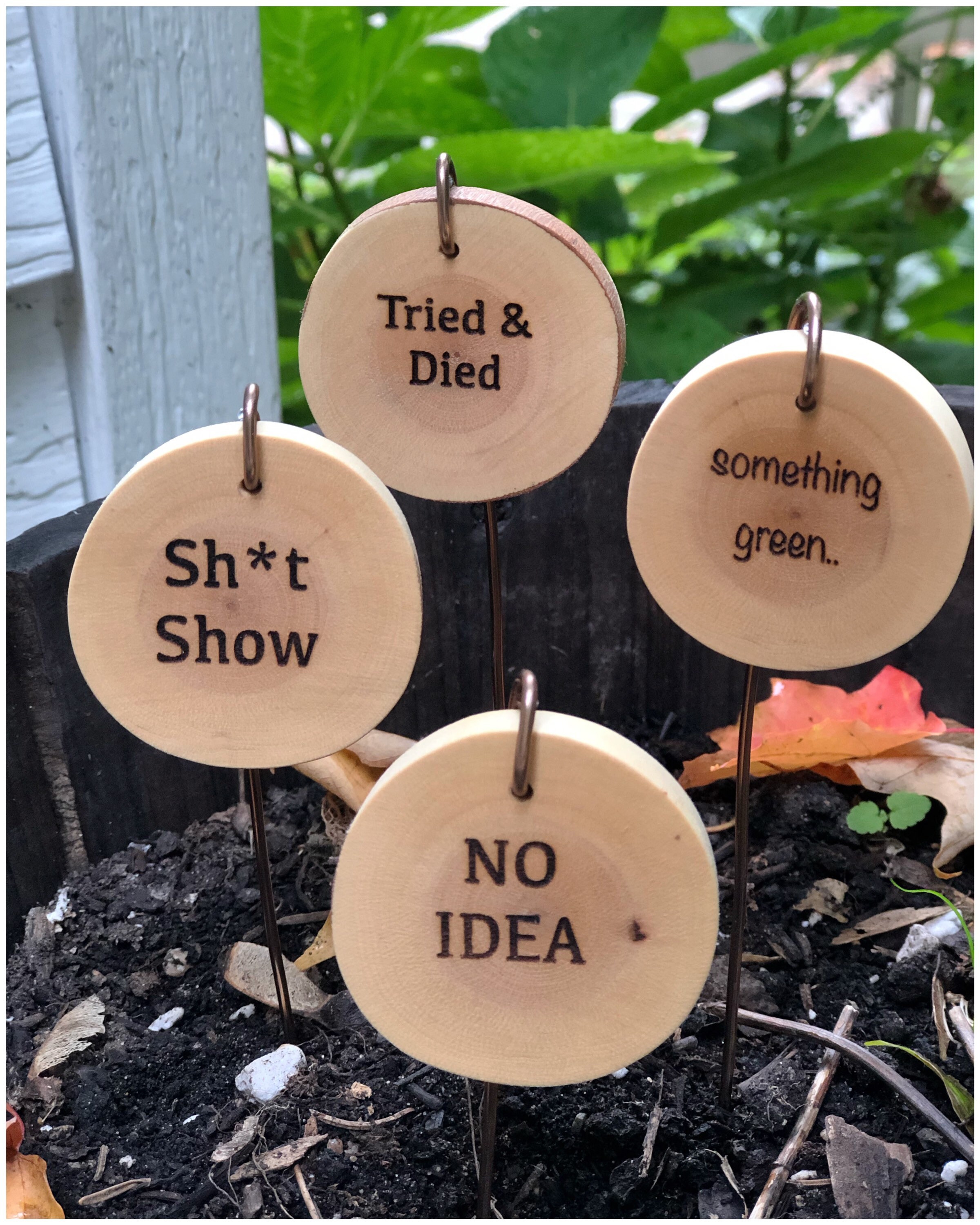 Plant Puns Wooden Plant Puns Herb Plant Puns Garden | Etsy