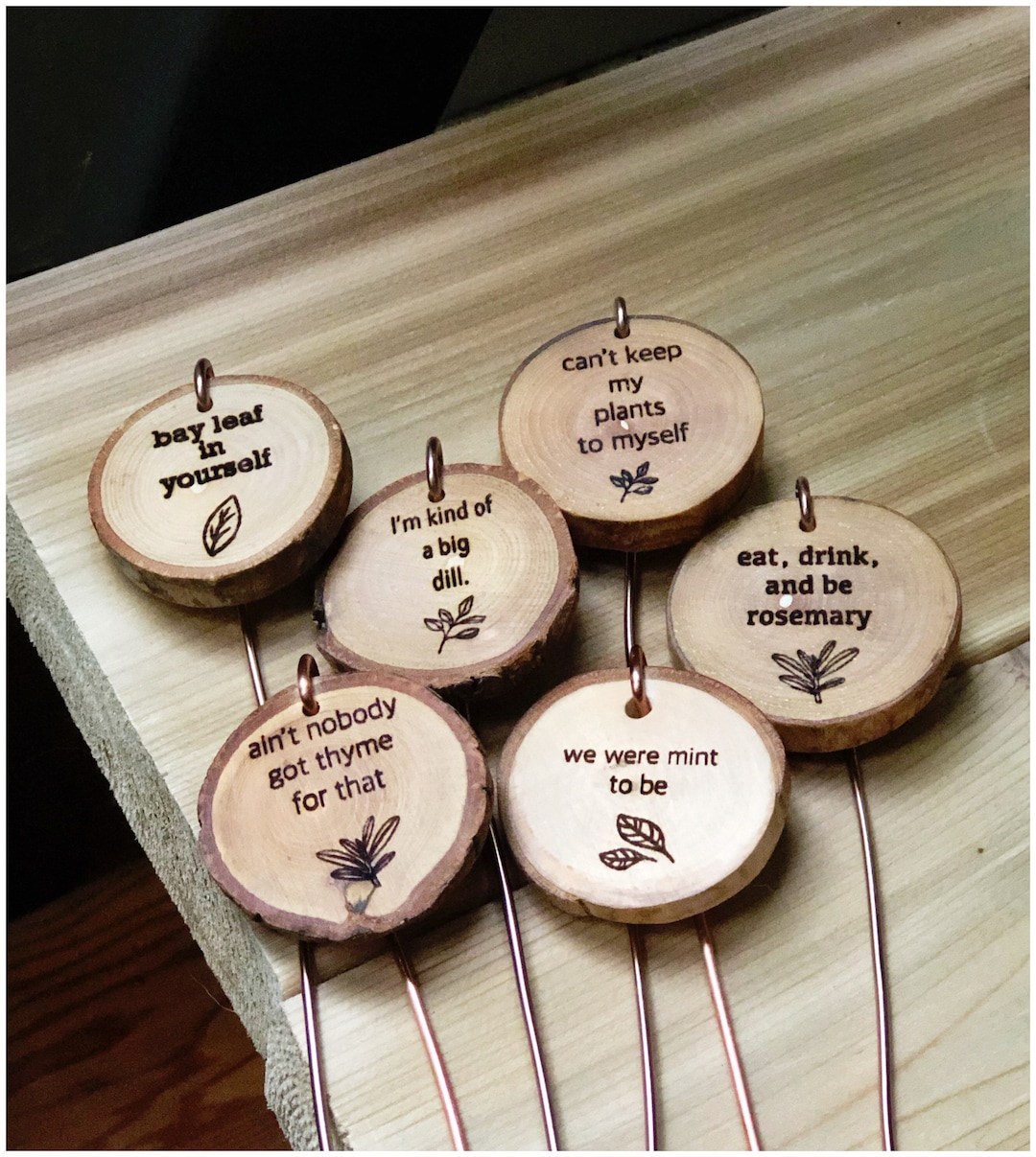 Funny Plant Pun Markers: Wood Burned Garden Stakes, Set of 6 - Etsy
