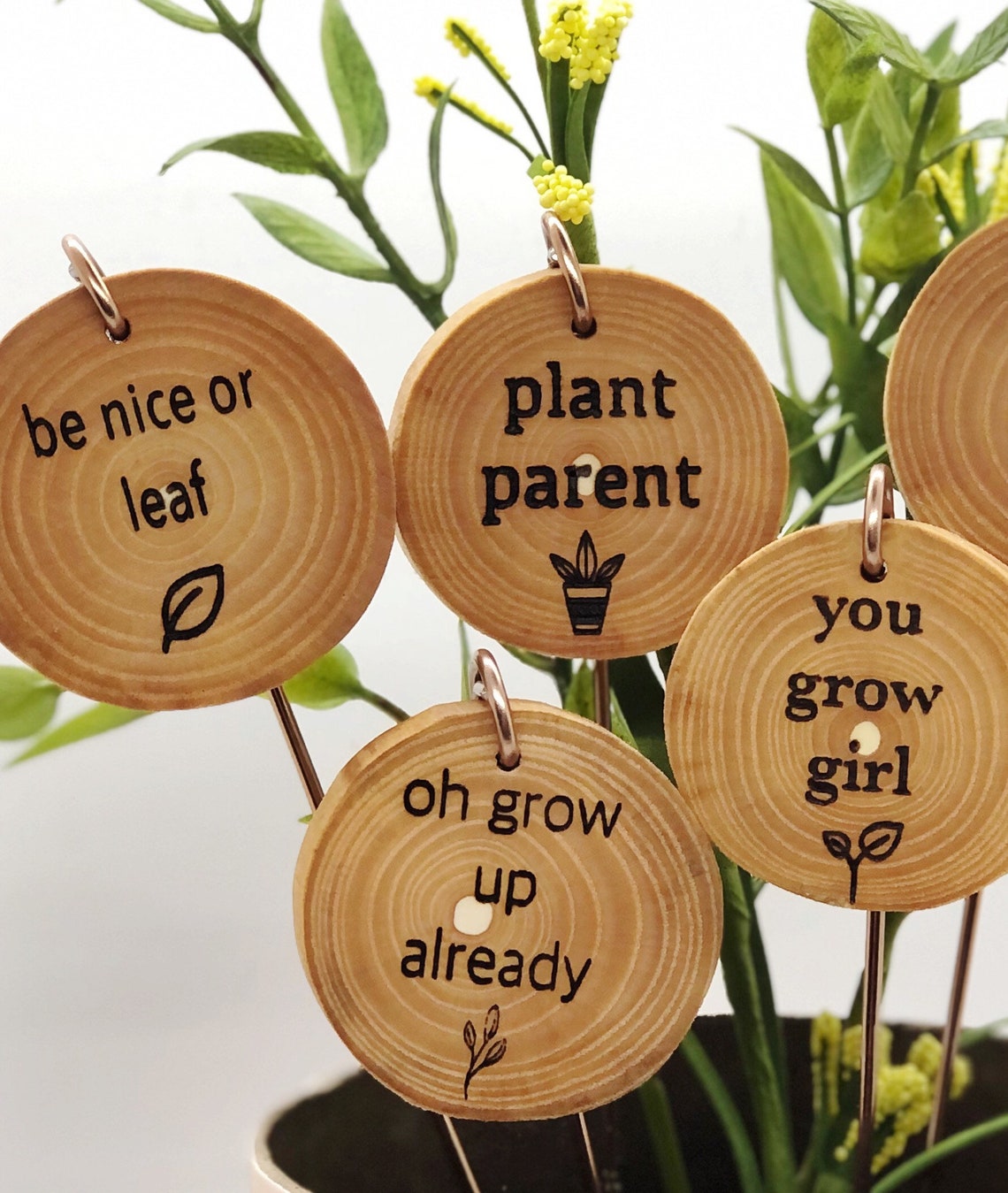 Funny Plant Pun Garden Markers: Wood Burned Plant Stakes, Set of 6 - Etsy
