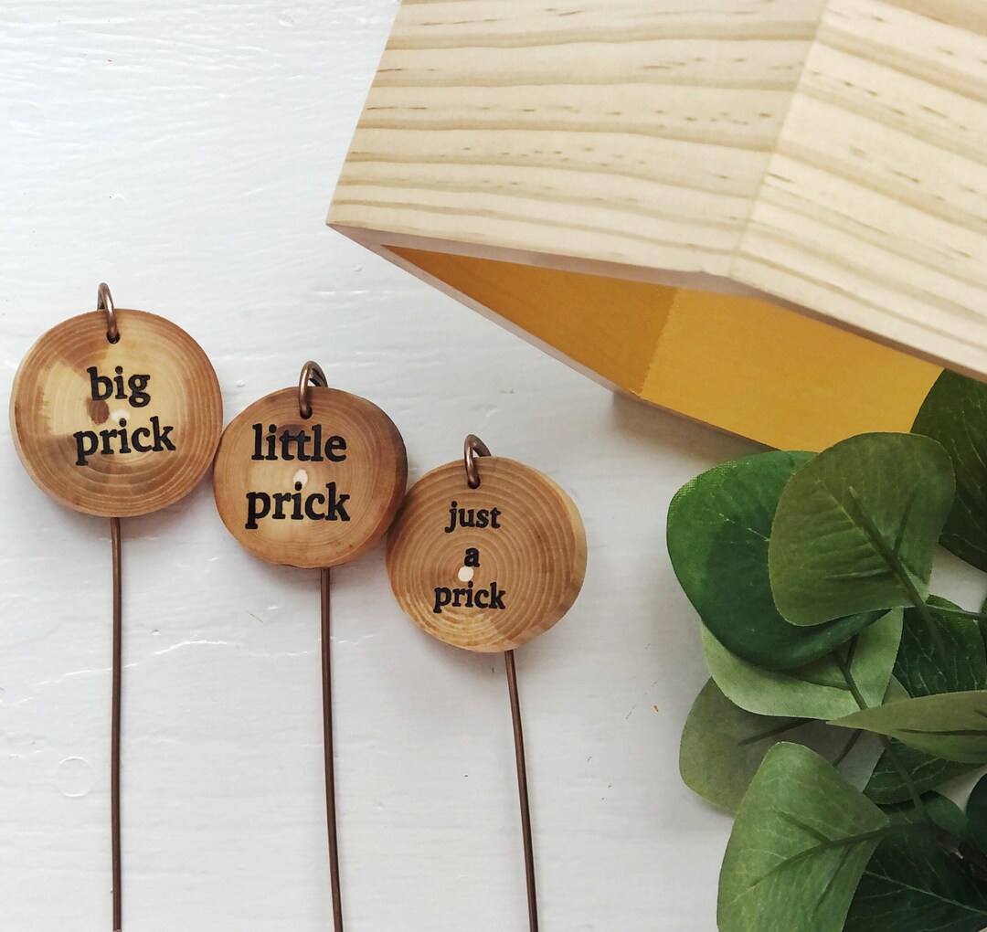 Plant Puns | Set of 3 | Garden Markers | Plant Stakes | Cactus Puns ...