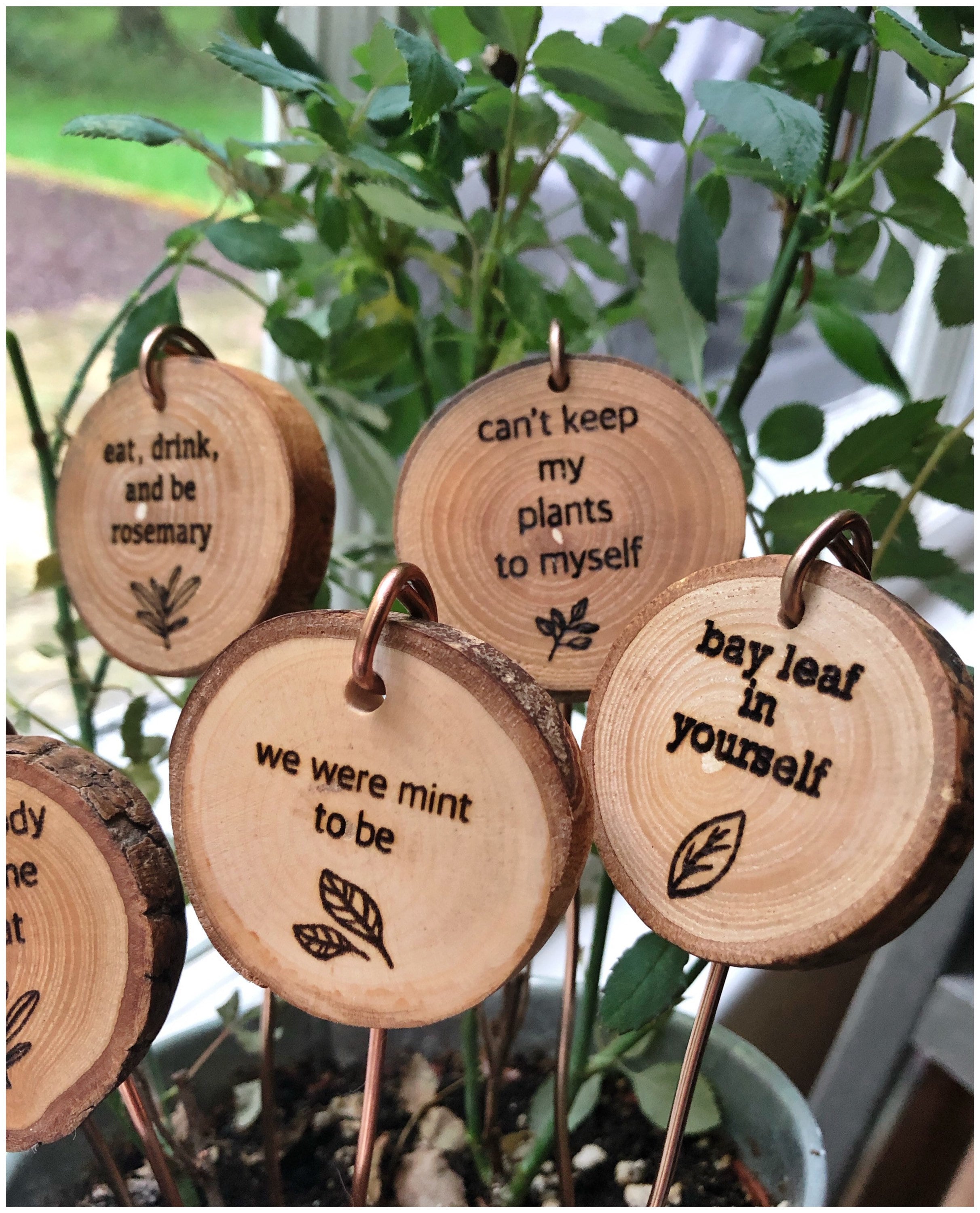 Funny Plant Pun Markers: Wood Burned Garden Stakes, Set of 6 - Etsy