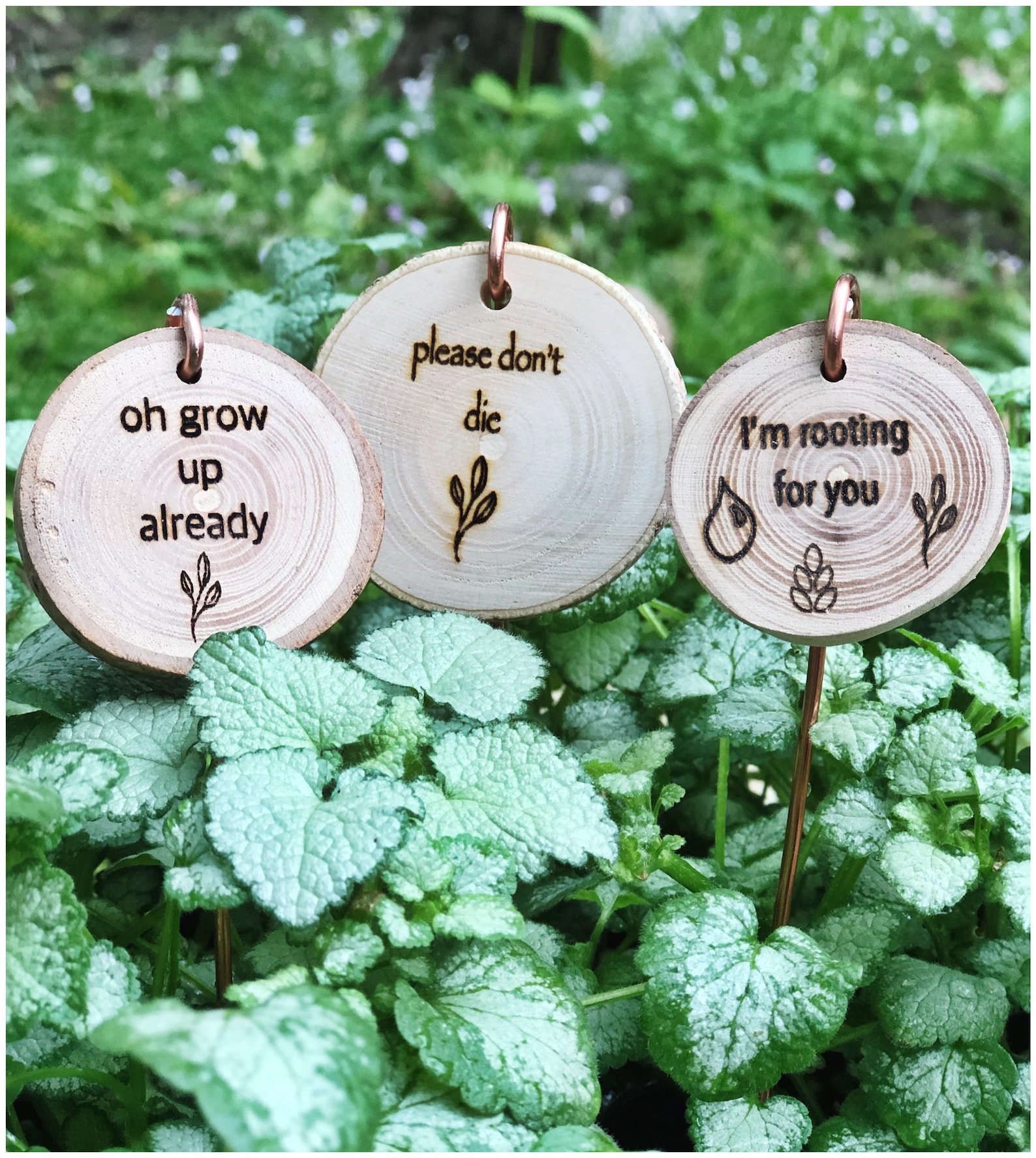 Plant Pun Garden Markers: Wood Burned Plant Signs, Set of 6 - Etsy