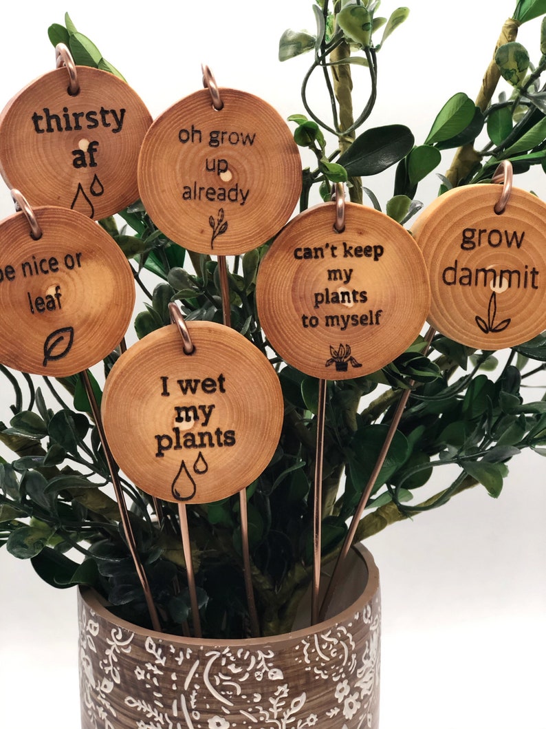 Plant Pun Garden Markers Plant Puns Wooden Yard Art - Etsy