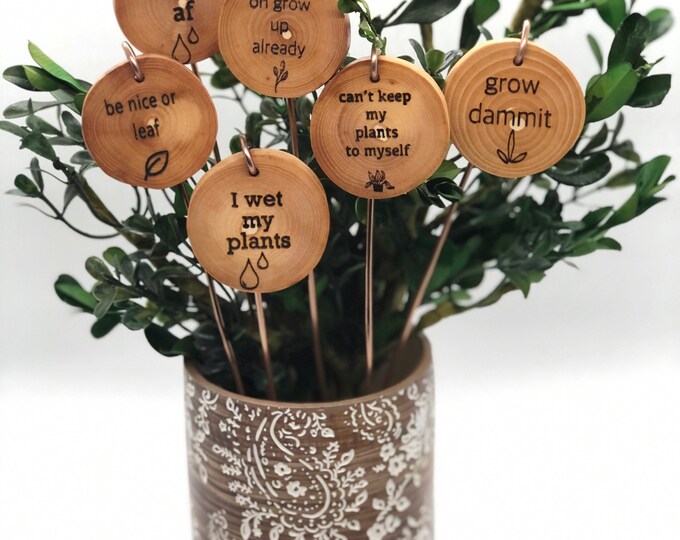 Plant Pun Garden Markers Plant Puns Wooden Yard Art Funny Plant Puns ...