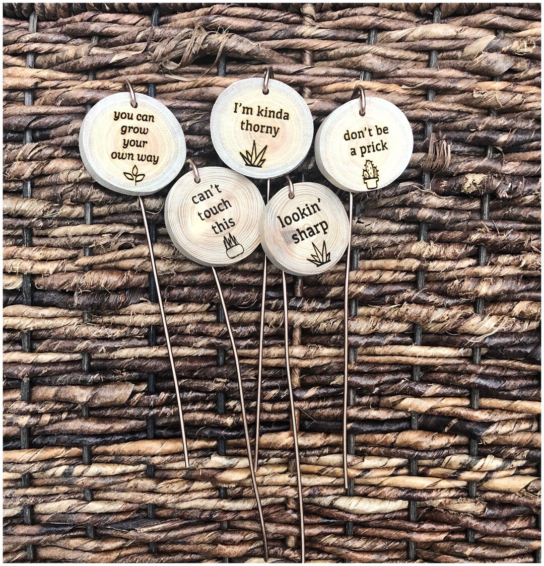 Funny Plant Pun Garden Markers: Handmade Wood Plant Stakes, Set of 5 - Etsy