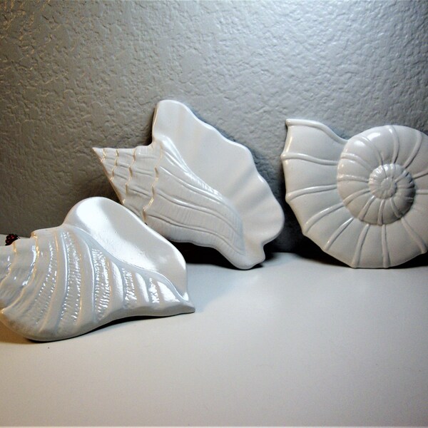 Seashell Wall Decor - Etsy