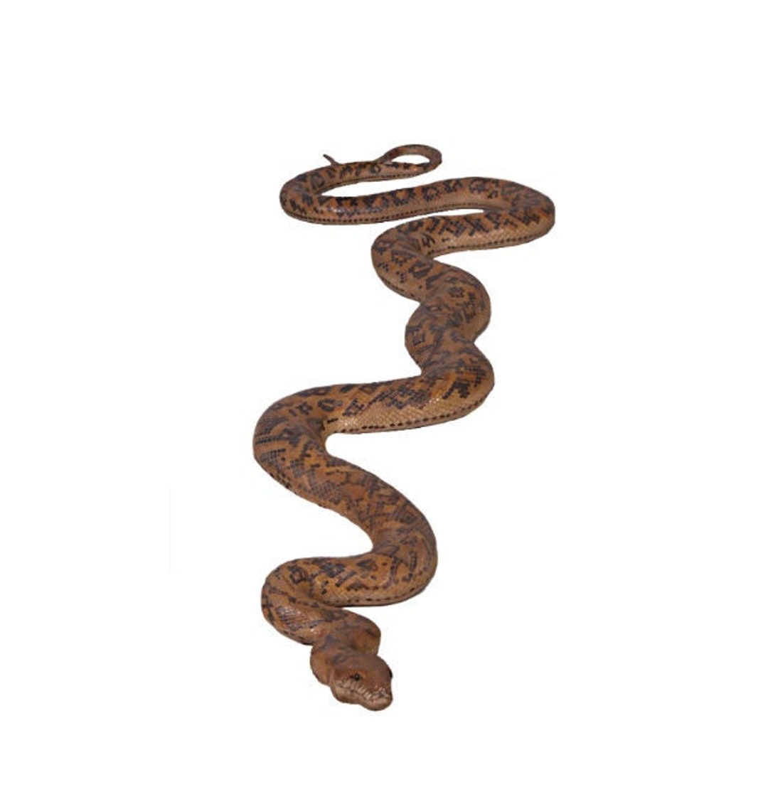 Python Snake Life Size Statue - Etsy