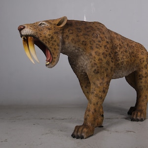 Smilodon Saber Tooth Life Size Statue - Etsy
