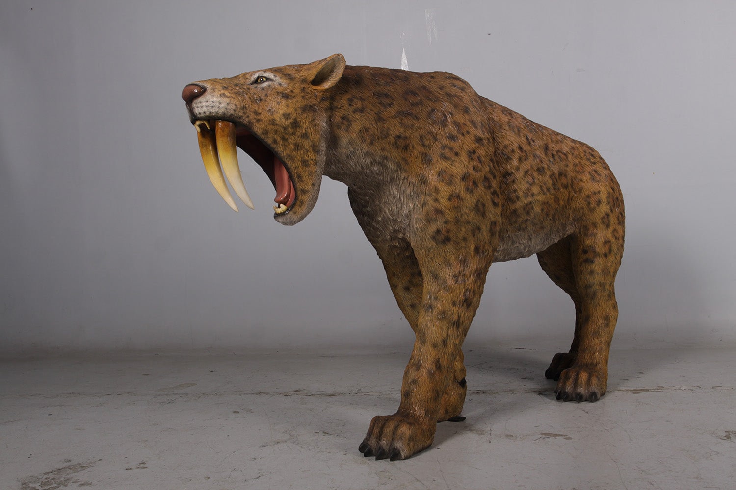 Smilodon Saber Tooth Life Size Statue - Etsy