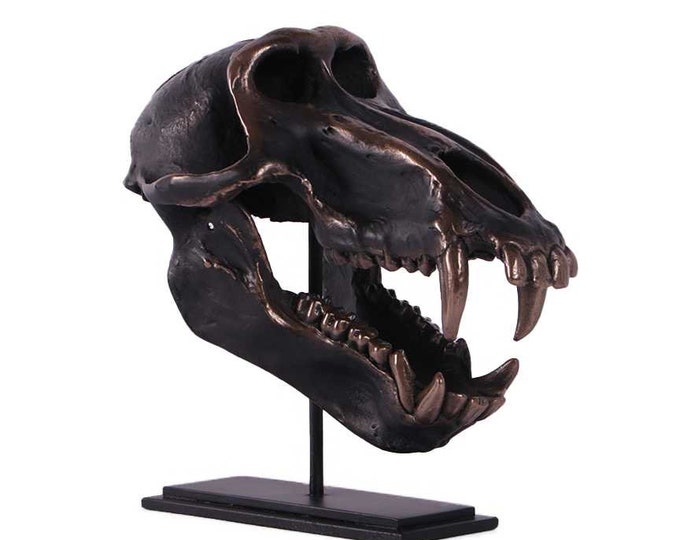 Mandrill Baboon Monkey Skull Replica - Etsy