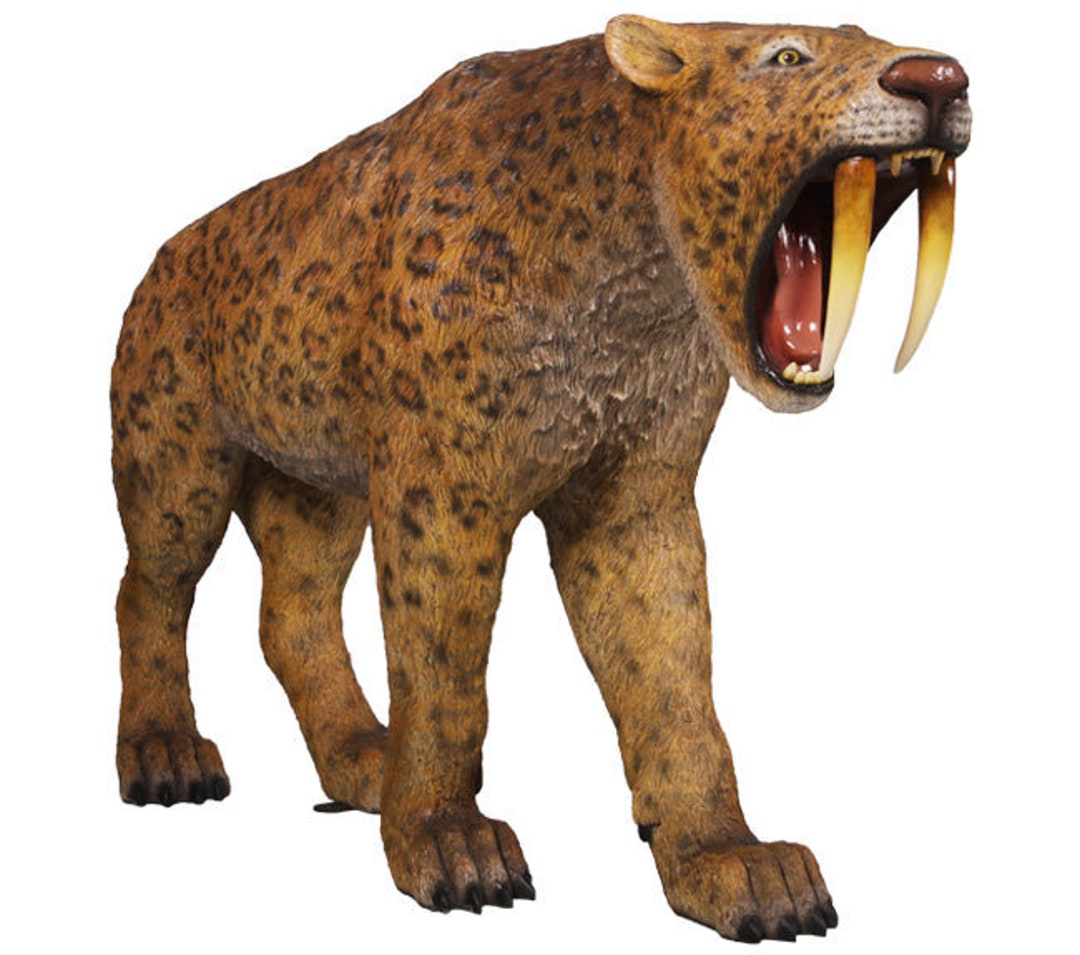 Smilodon Saber Tooth Life Size Statue - Etsy