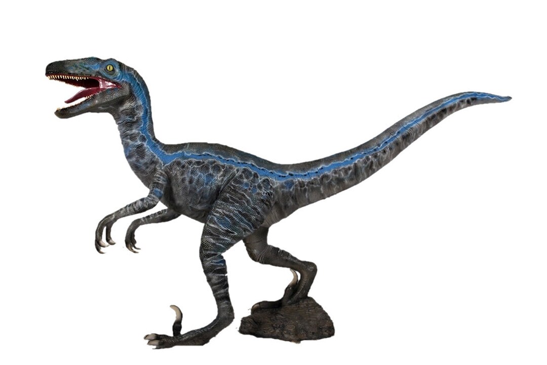 Blue Velociraptor Dinosaur Life Size Statue - Etsy