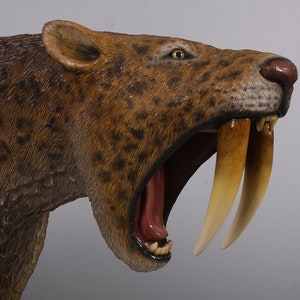 Smilodon Saber Tooth Life Size Statue - Etsy