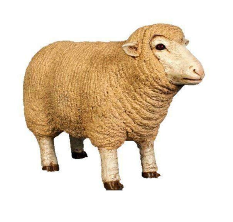 Baby Merino Ewe Life Size Statue - Etsy