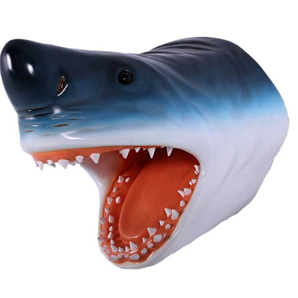 Shark Head - Etsy