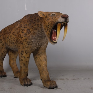 Smilodon Saber Tooth Life Size Statue - Etsy