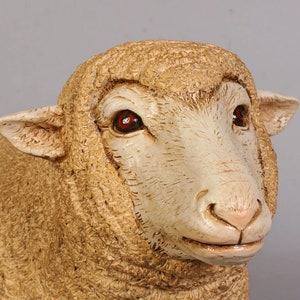 Baby Merino Ewe Life Size Statue - Etsy