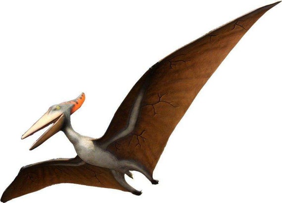 Pteranodon Size