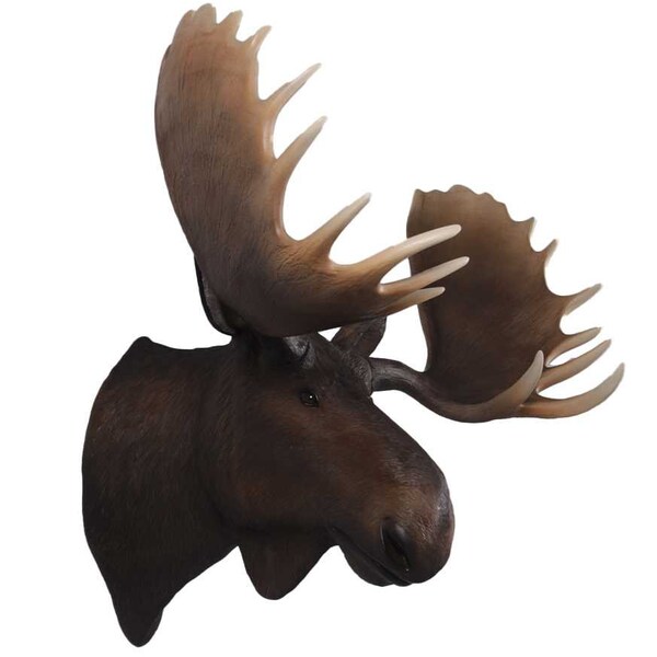 Resin Moose Head - Etsy