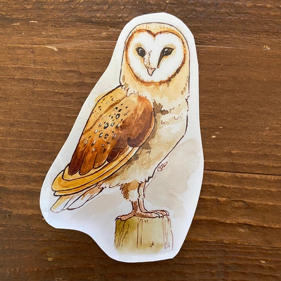 Watercolor Barn Owl Sticker | Etsy