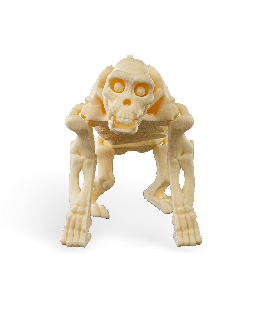 3d Printed Articulated Chimp Skeleton - Etsy UK