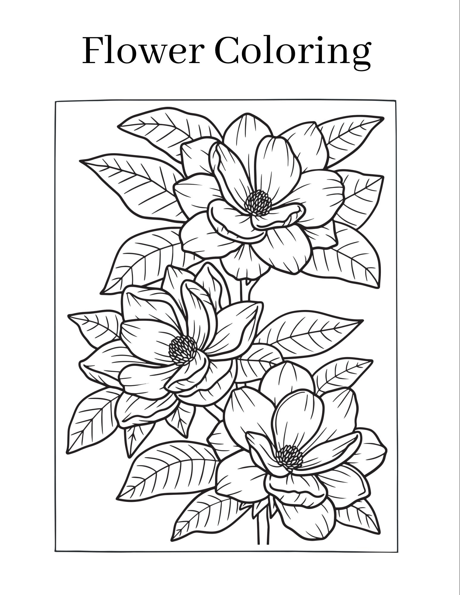 Flowering Coloring Sheets - Etsy