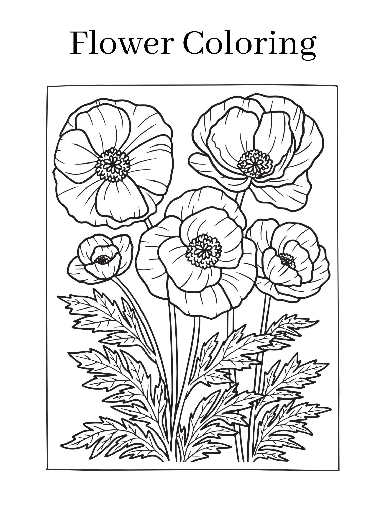 Flowering Coloring Sheets - Etsy