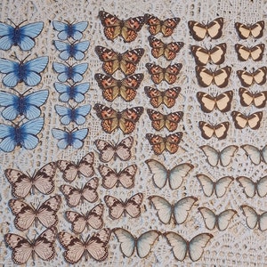 Paper Butterfly - Etsy