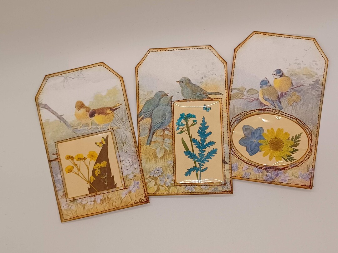 Pressed Flower Tags - Blue/yellow Bird Themed - Set of 3 (choose From ...