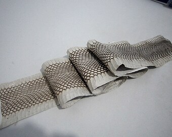 Real snakeskin | Etsy