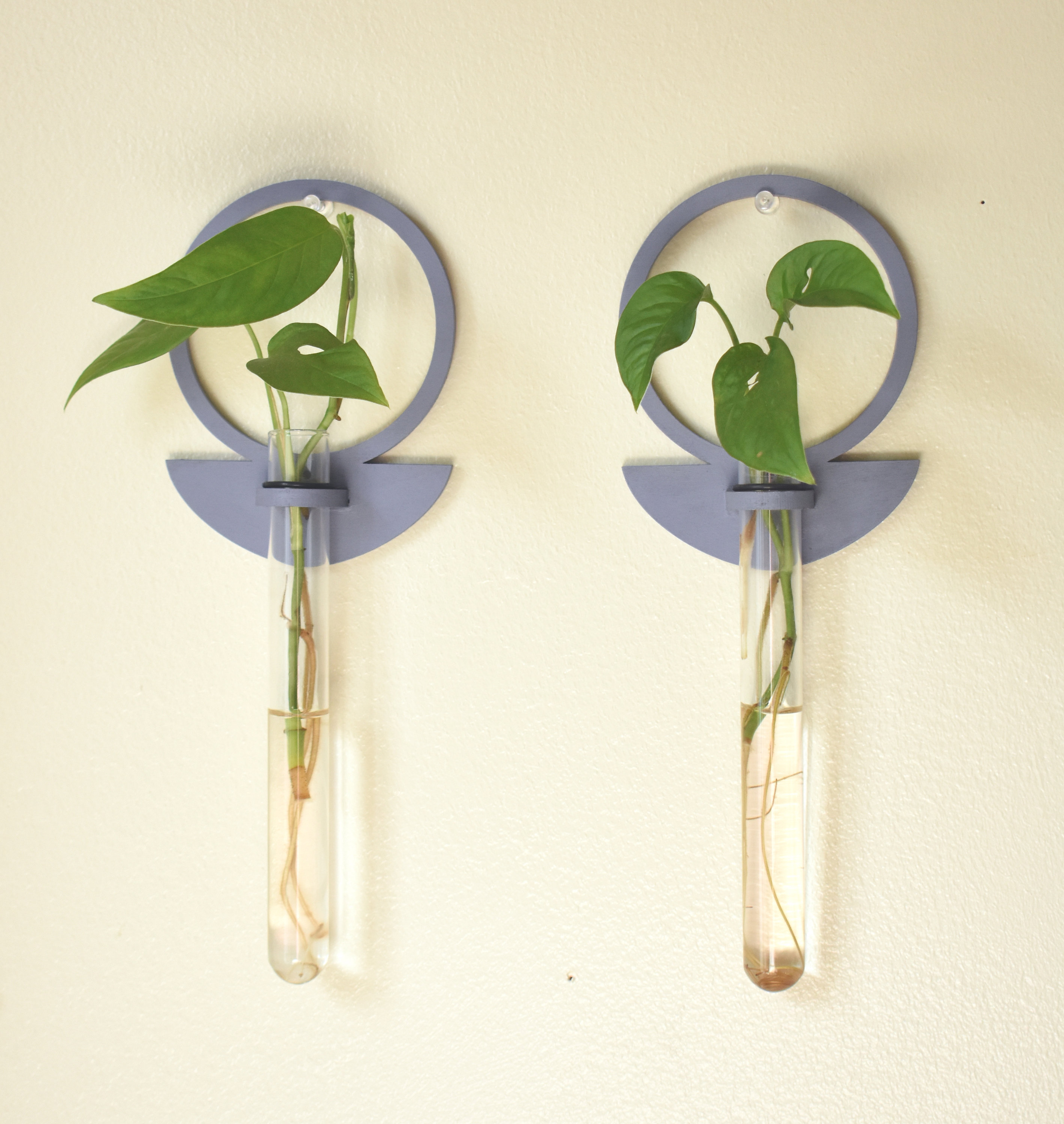 Circle Plant Propagation Station Wall Hanging - Etsy