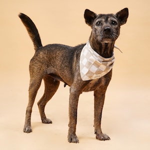 Checkers Dog Bandana - Etsy