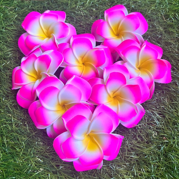 Hawaiian Hair Clips - Etsy