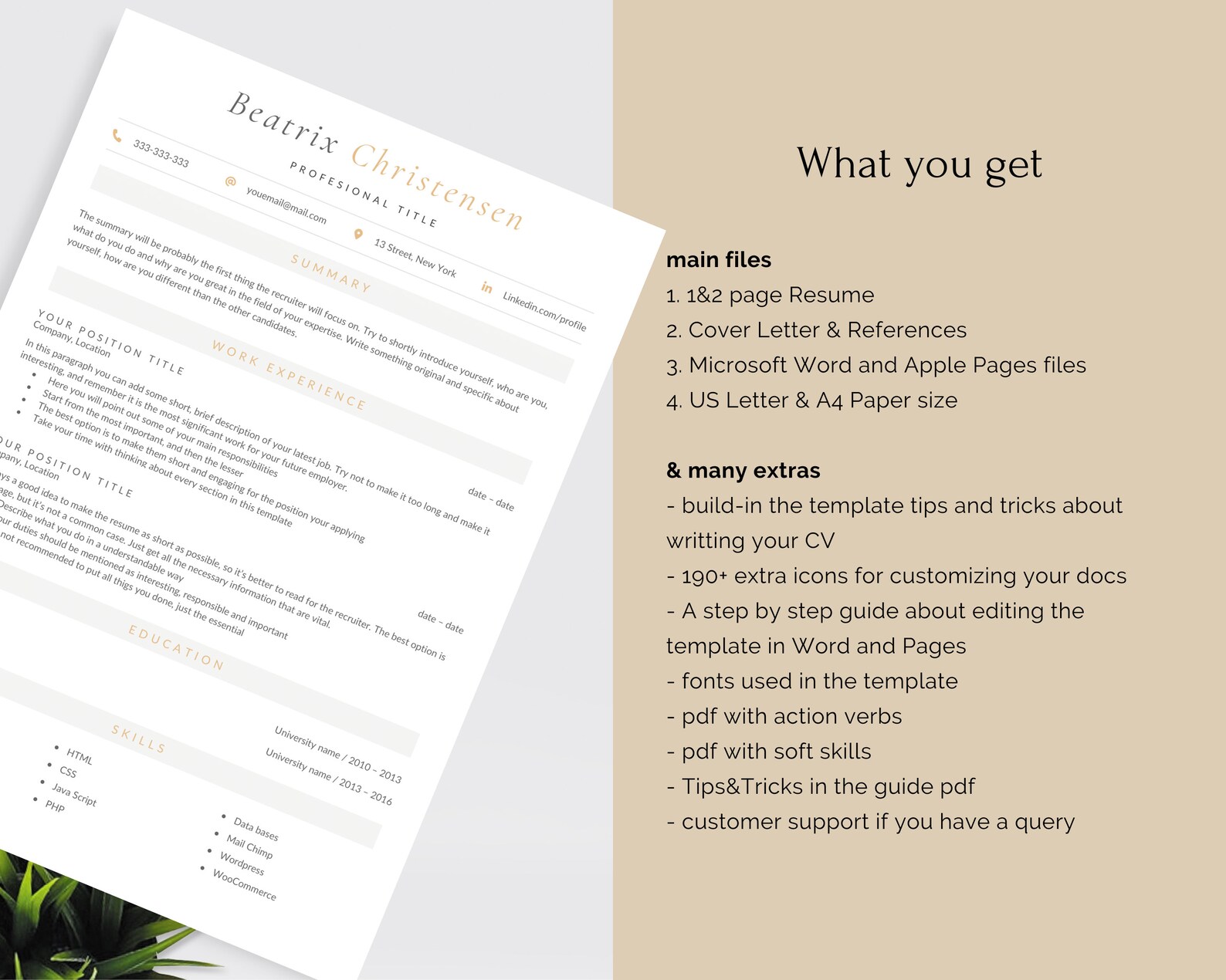 Professional Resume Template, Minimalistic Resume Template for Word and ...