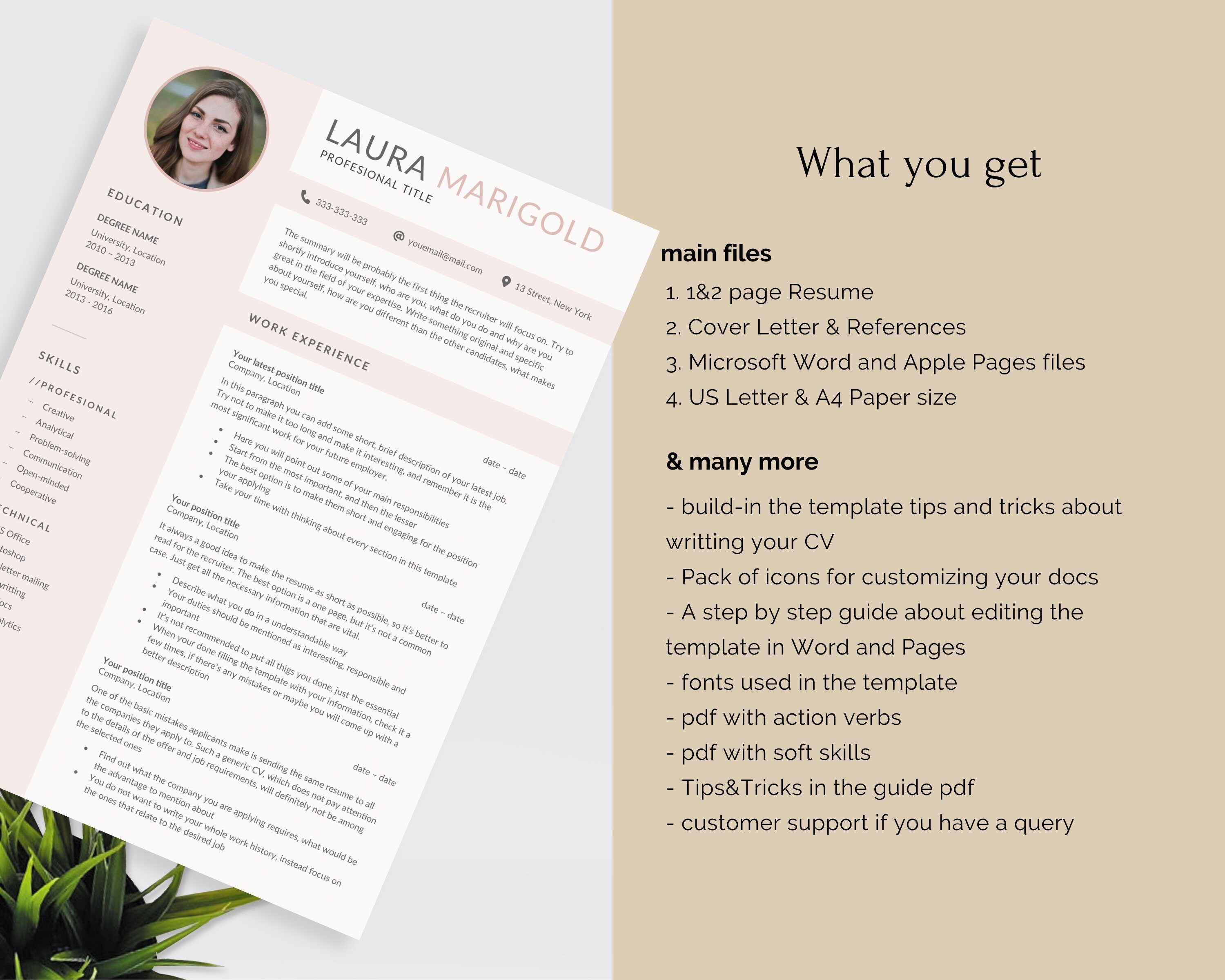 Artistic, Graphic Designer, Adobe Creative Suite Resume, Aestetic ...