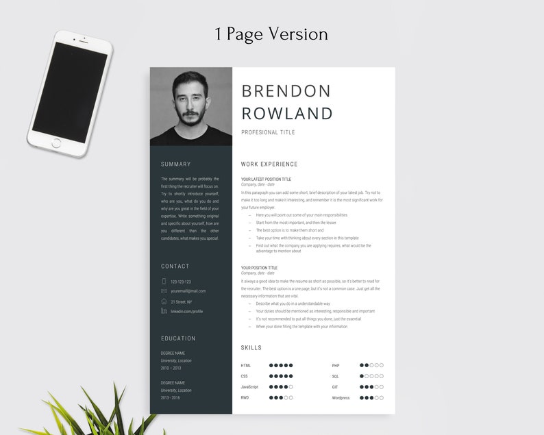 Software Developer Resume, Coding Interview, IT Resume Template ...