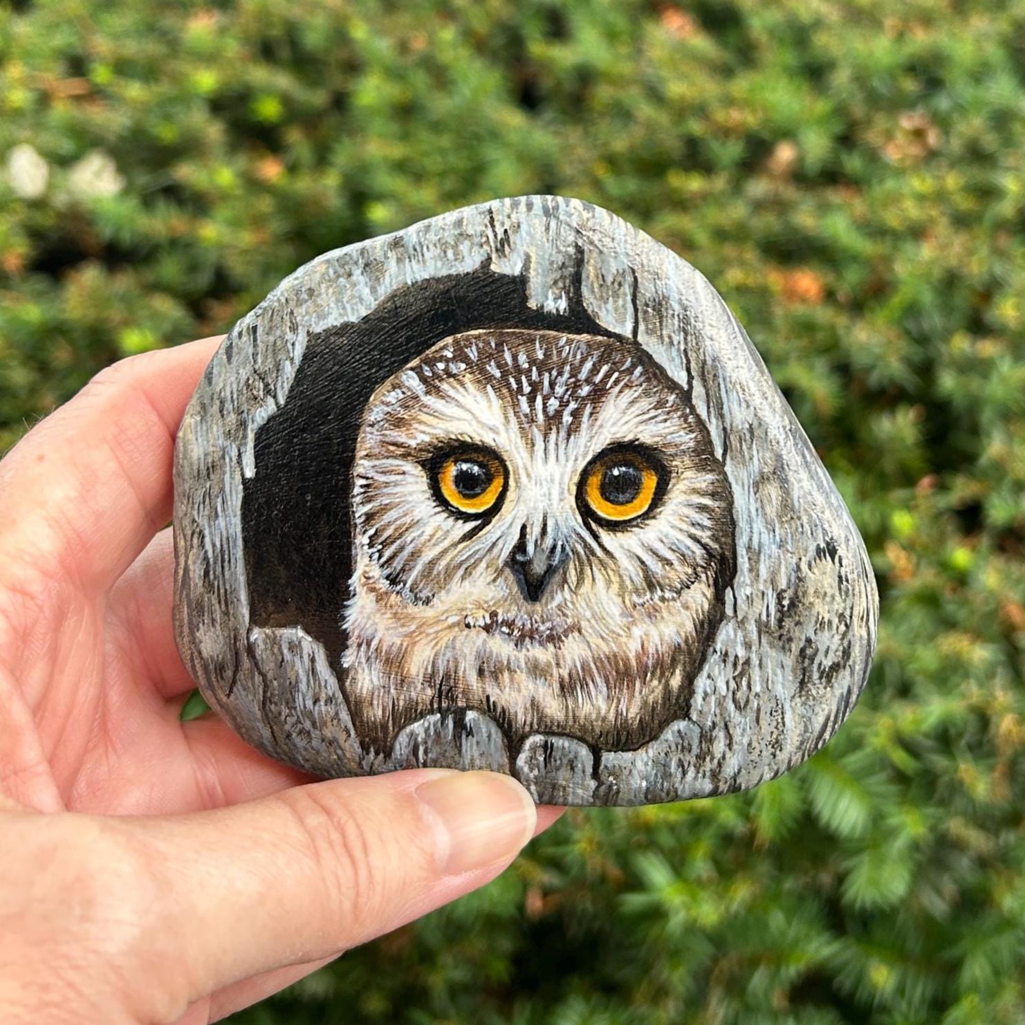 Realistic Saw Whet Owl Painted Rock Hand Painted Wildlife Art Stone ...