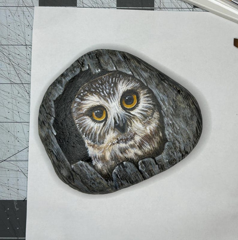 Realistic Saw Whet Owl Painted Rock Hand Painted Wildlife Art Stone ...