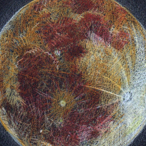 Sea Captain Cat Print From My Original Color Pencil Drawing - Etsy