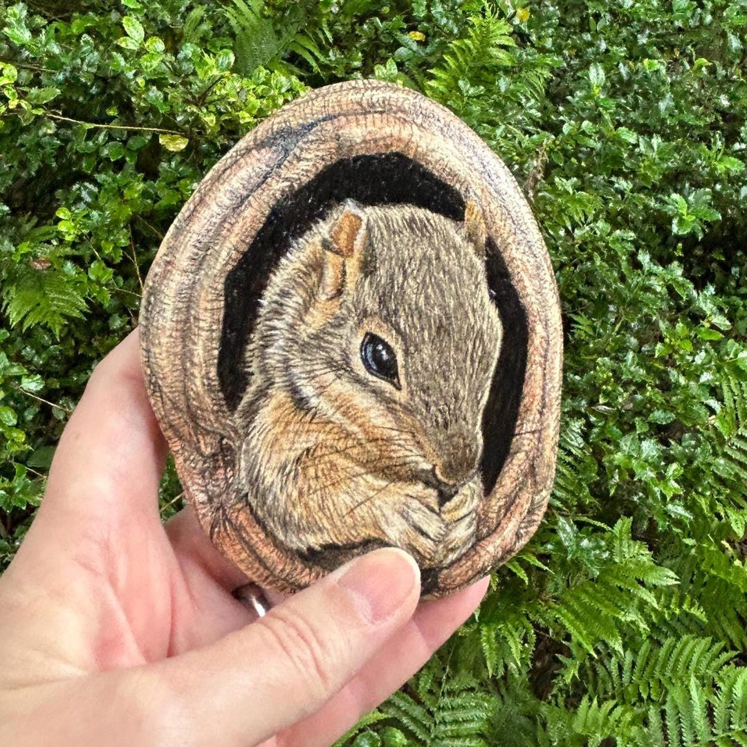Realistic Squirrel Painted Rock Peeking Out of a Tree Hand Painted ...