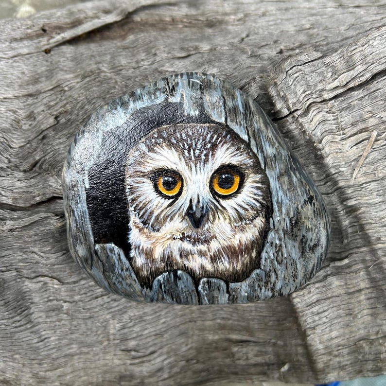 Realistic Saw Whet Owl Painted Rock Hand Painted Wildlife Art Stone ...