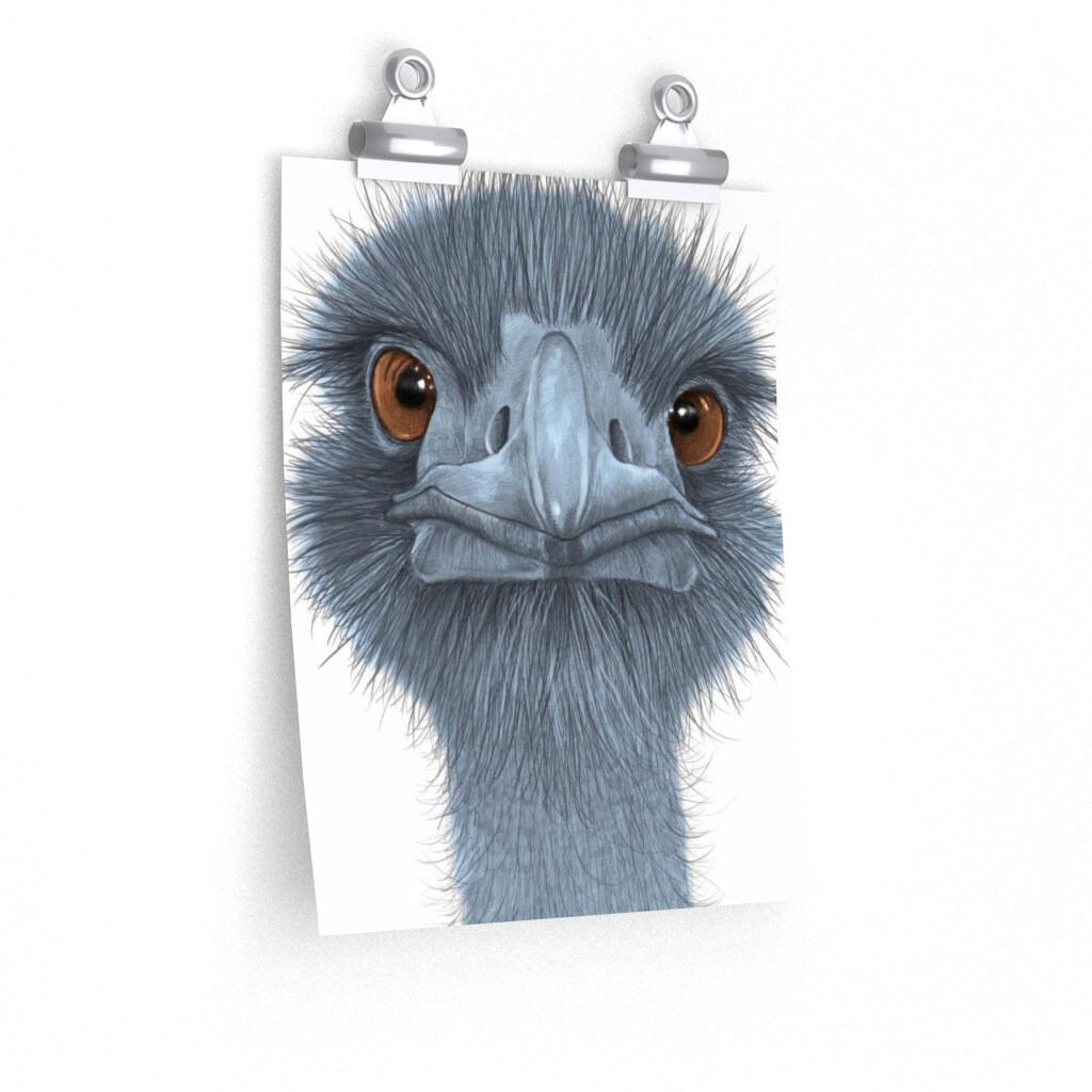 Blue Emu Watching You, Original Art by Wendy Hogue Berry, Premium Matte ...